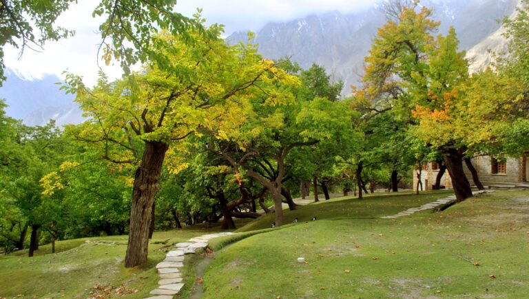 Things to do in Hunza | iMusafir.pk