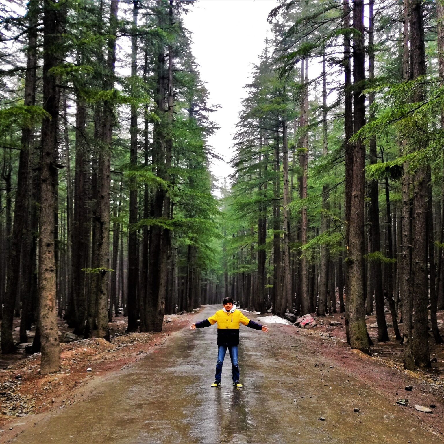 Top Places to Visit in Swat: Nature, Culture, and Adventure