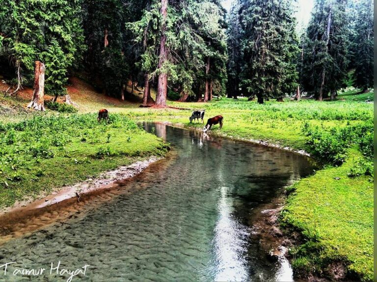Why visit Swat Valley Pakistan in 2025? | Travel Guides by iMusafir.pk ...