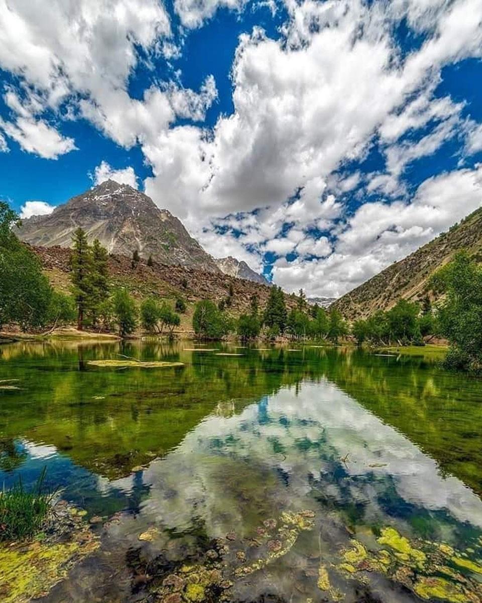 Discover the Beauty of Naltar Valley in Hunza - iMusafir
